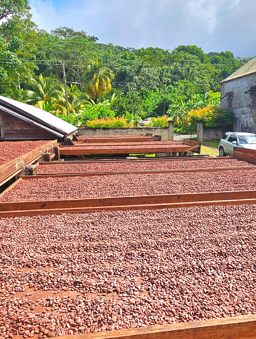 Diamond Chocolate Factory (makers of Jouvay) – Wander the World With Me
